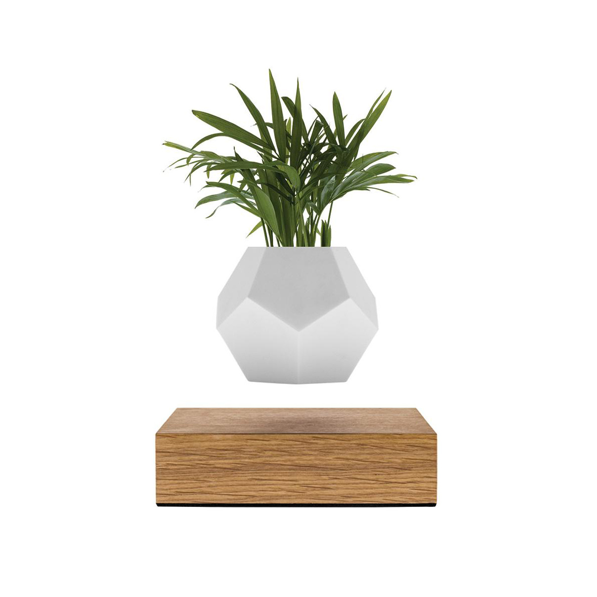 Lyfe The Levitating Planter by FlyteLyfe The Levitating Planter by ...
