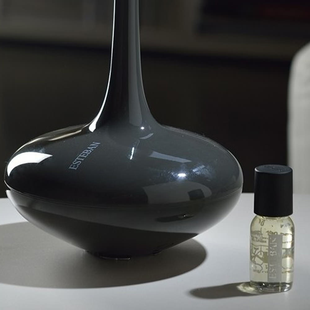 Grey Taupe Mist Diffuser Esteban Edition ArtGrey Taupe Mist Diffuser ...