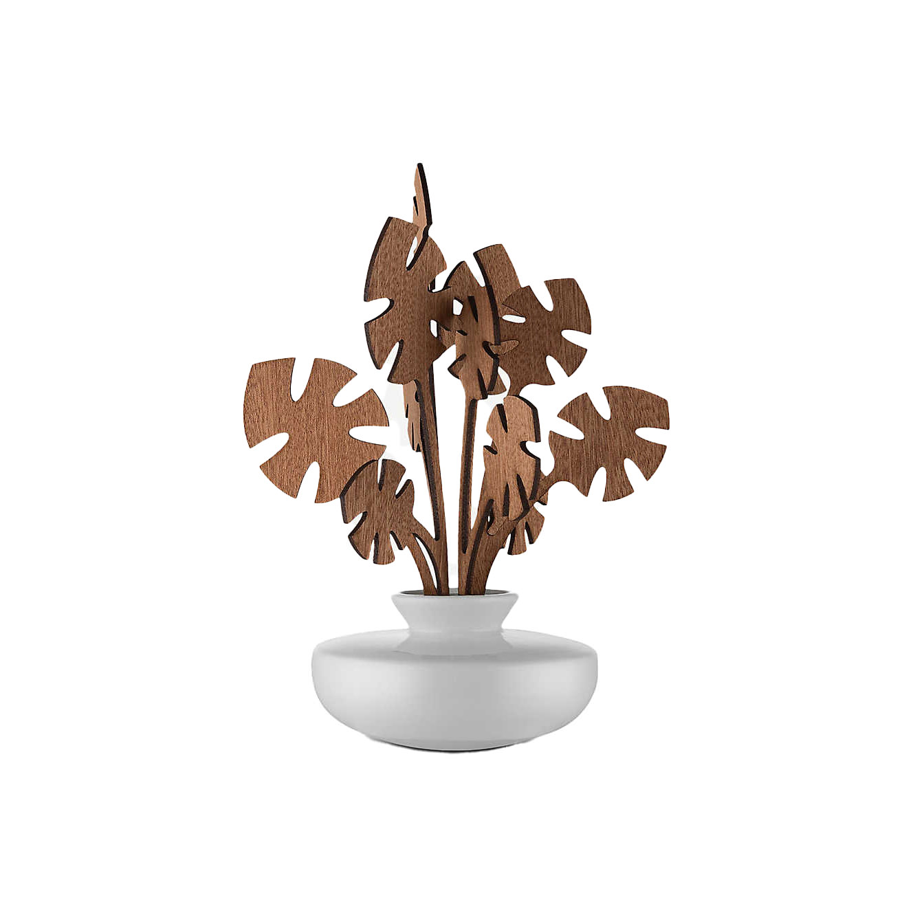 Five Seasons Hmm leaf diffuser 150mlFive Seasons Hmm leaf diffuser ...